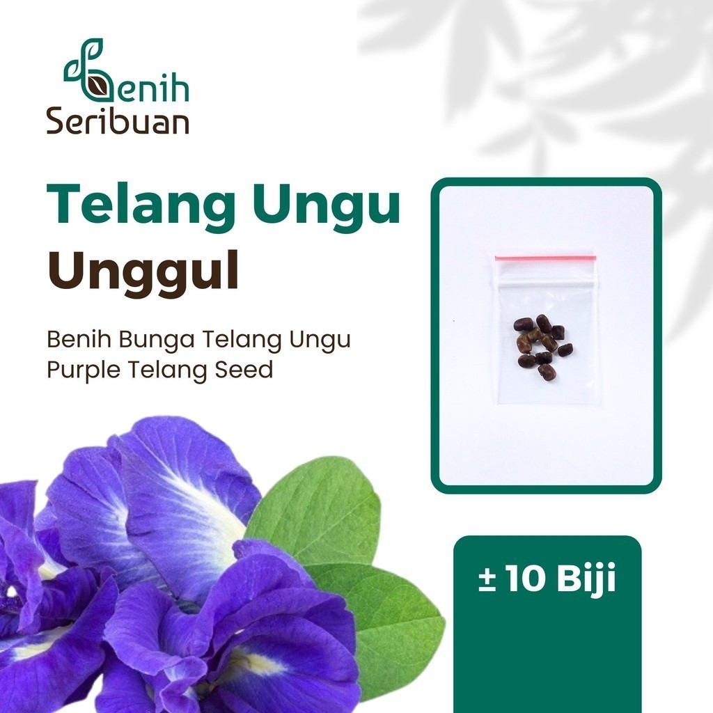 Jual Benih - 10 Bibit Bunga Telang Ungu Unggul | Shopee Indonesia