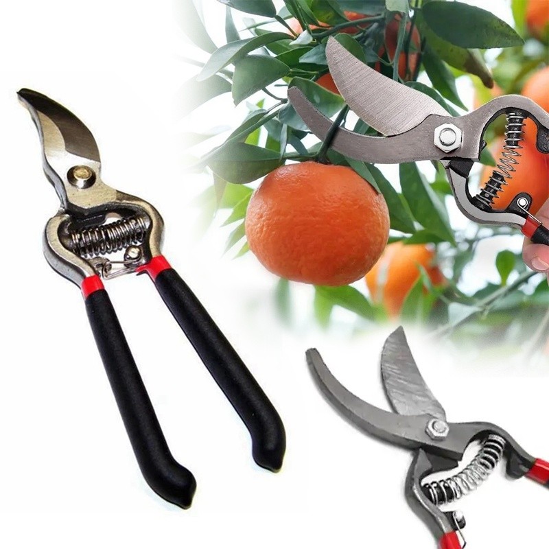 Jual Gunting Pemangkas Dahan Ranting Tanaman Baja Tajam Alat Taman ...