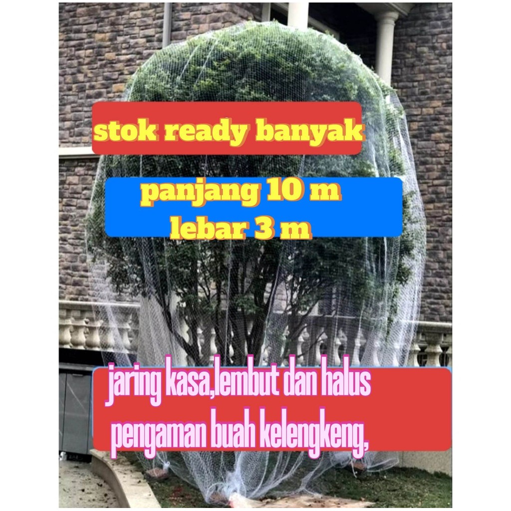 Jual jaring kasa 10x3m,jaring pelindung buah kelengkeng di jamin aman ...