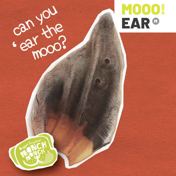 Jual Mooo! Ear - Cow Ear | Monch Monch (Dog Chew Snack / Food) | Shopee ...