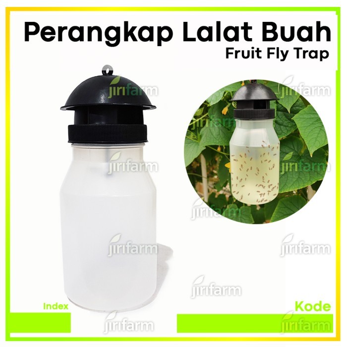Jual NANDUR YUK/ Jirifarm Hidroponik Fruit Fly Trap / Perangkap Lalat ...