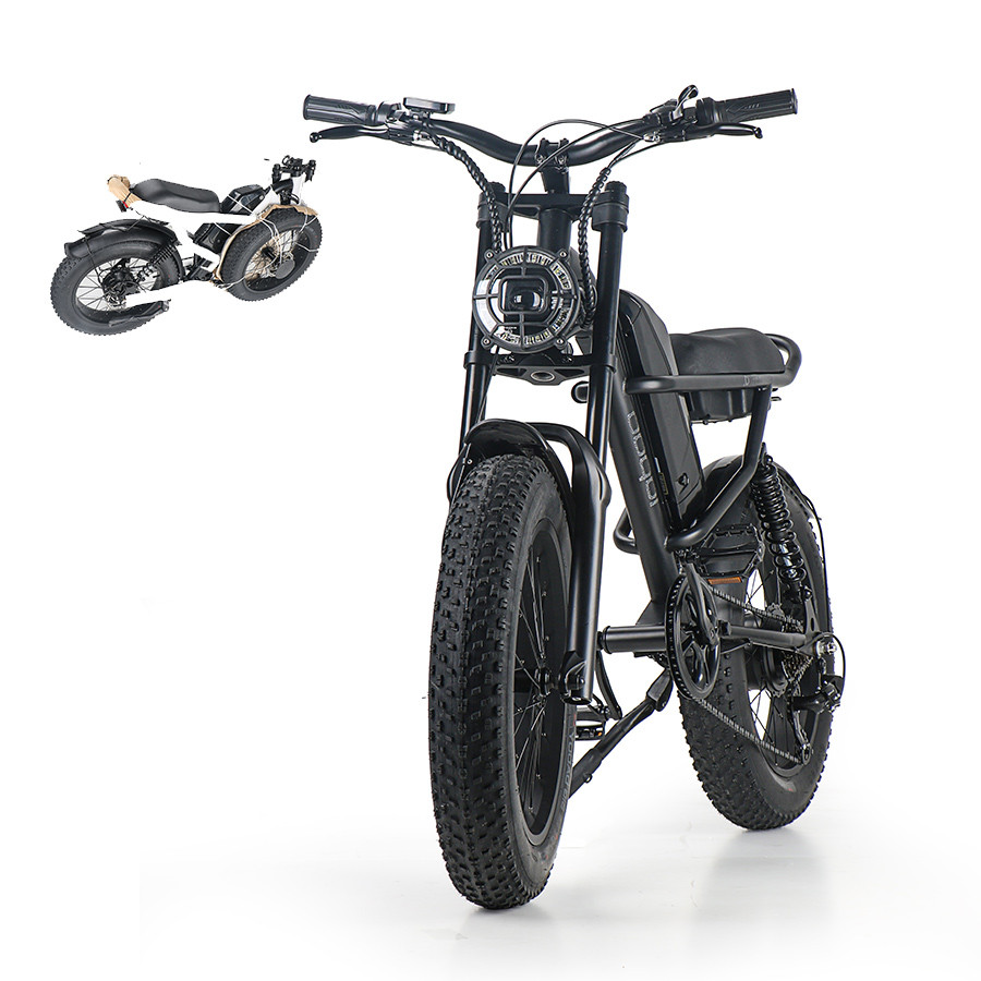 Jual Stock Fat Bike Elettrica E Fat Bike 20x4.0 Snow Fatbike 50 Km/h ...