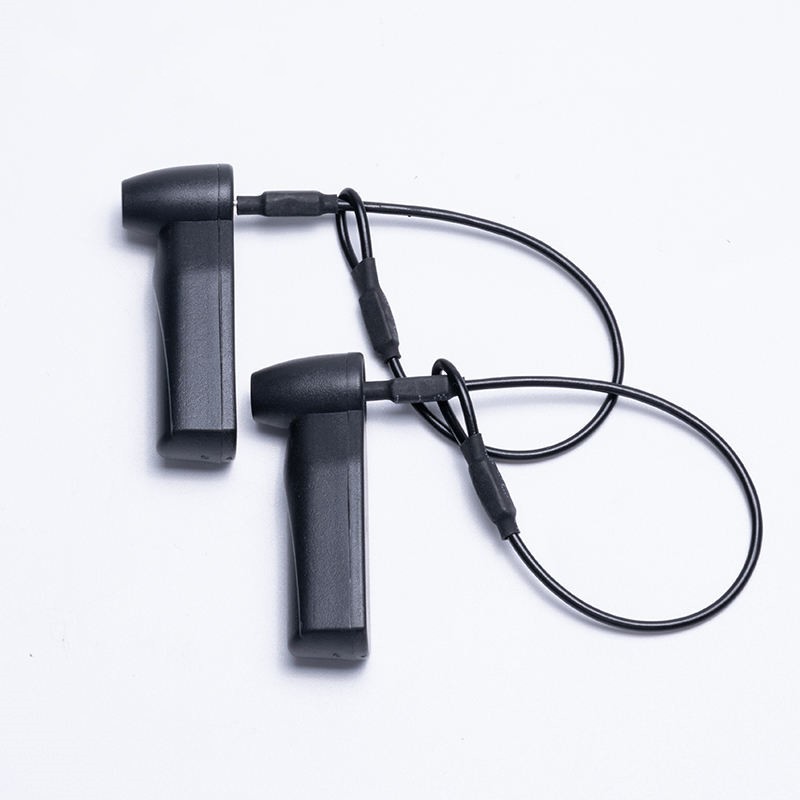 Jual 100 Pieces Bag Stores Anti Theft Lanyard EAS AM Hard Tag EAS ...