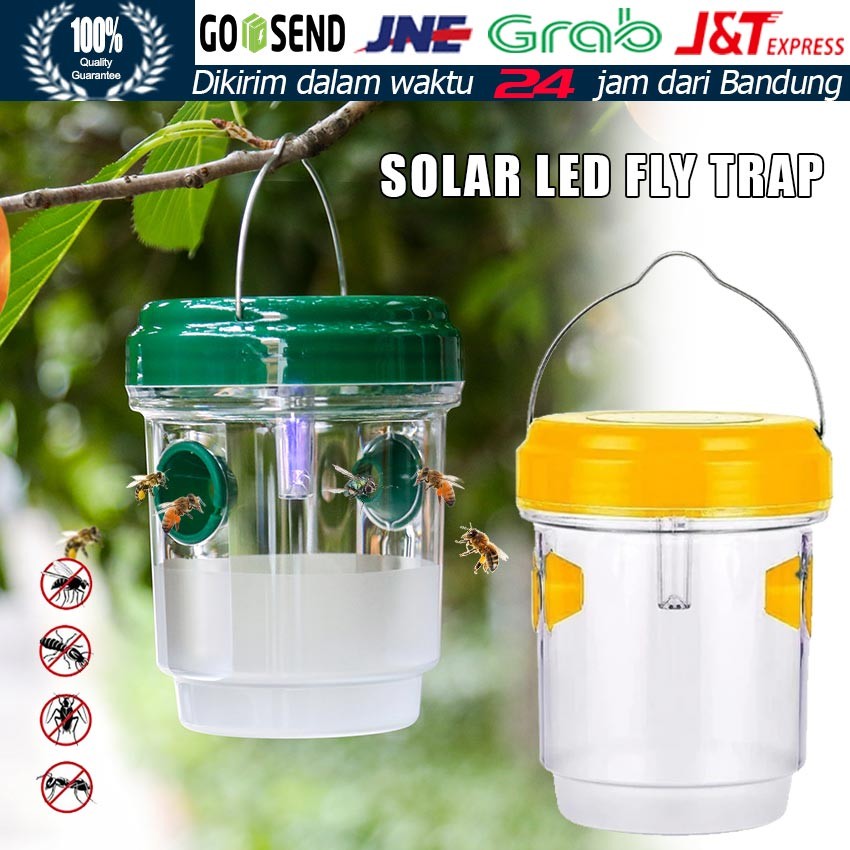 Jual Perangkap Lalat Buah Drosophila Tenaga Surya Lampu Plastik Warna ...