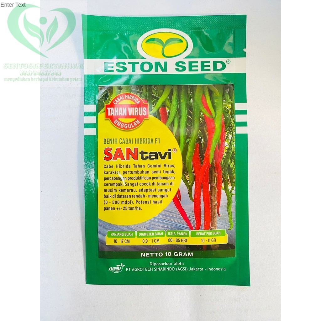 Jual PRODUK TERLARISS Benih cabe hibrida F1 SANTAVI cabai besar tahan ...