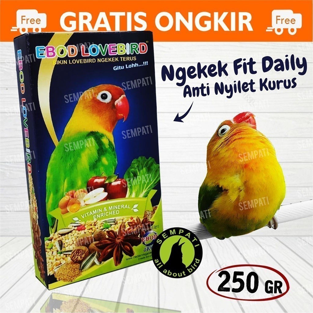 Jual SEMPATI PAKAN BURUNG LOVEBIRD HARIAN KOTAK EBOD JAYA | Shopee Indonesia