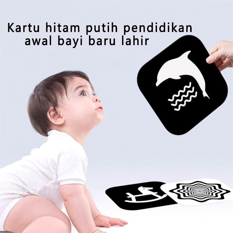 Jual Kartu stimulasi visual bayi 40 halaman, mainan pendidikan anak ...