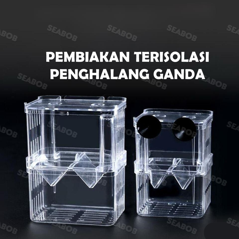 Jual SEABOB Breeding Box Guppy A14/ Isolation Box / Wadah Karantina ...