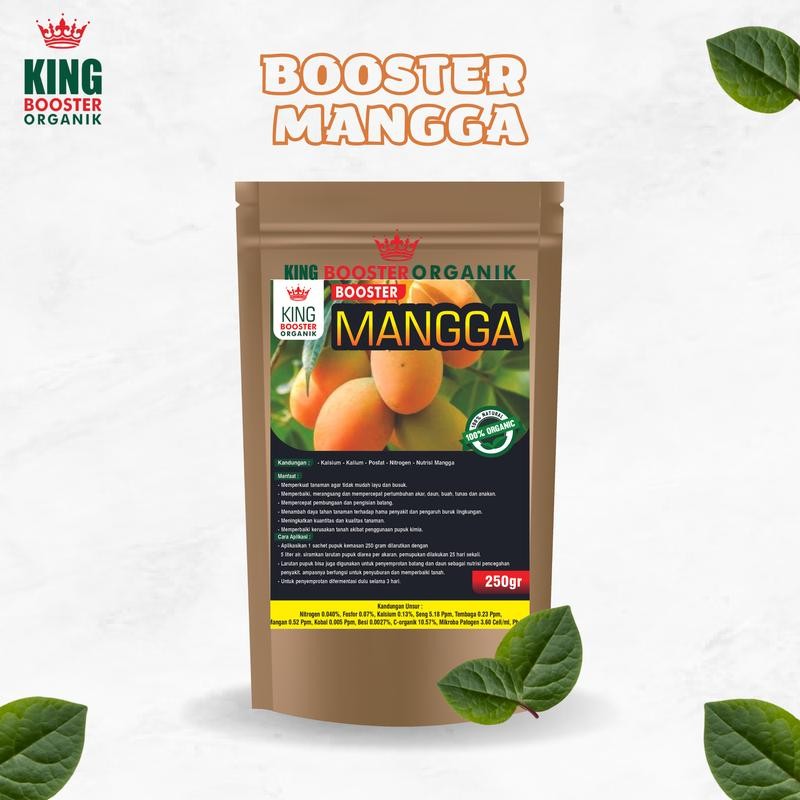 Jual PUPUK BOOSTER PELEBAT buah MANGGA | booster nutrisi organik 250 gram Besi Serbuk | Shopee ...