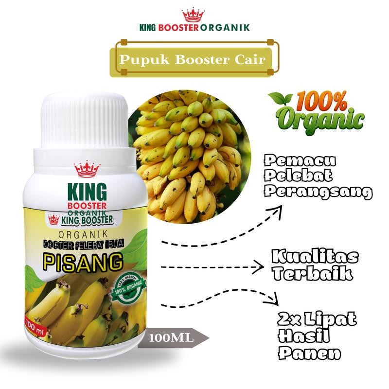 Jual Pupuk Booster Cair Pisang 100ml pupuk organik pelebat pisang pupuk pemacu pertumbuhan dan ...