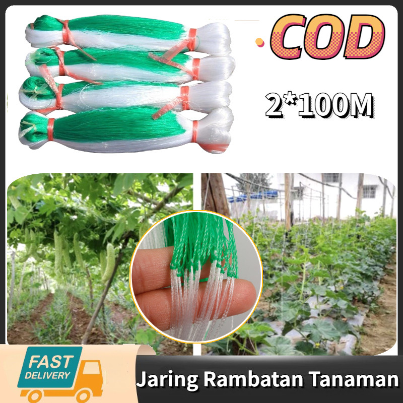 Jual 2M X 100M Jaring Rambatan Tanaman Kebun Trellis Netting Green Net Farm Climbing Net Anggur ...