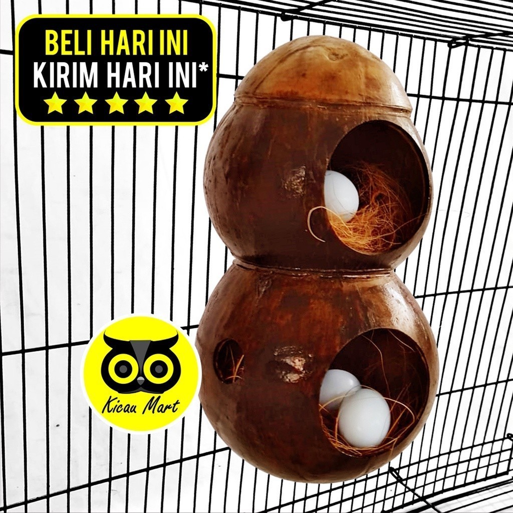Jual Glodok Lovebird Parkit Kenari Batok Kelapa Tumpuk Tingkat Gelodok ...