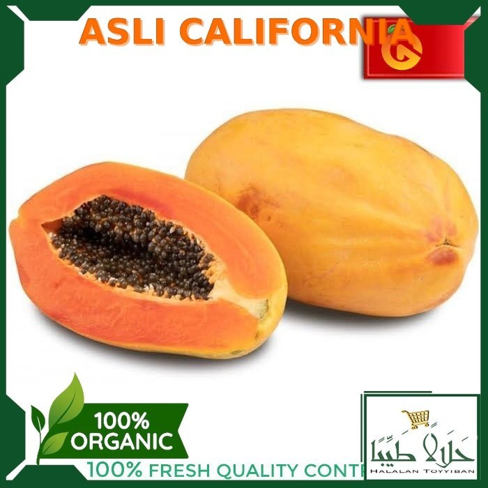 Jual PEPAYA CALIFORNIA MANIS Per 1 Buah | Shopee Indonesia