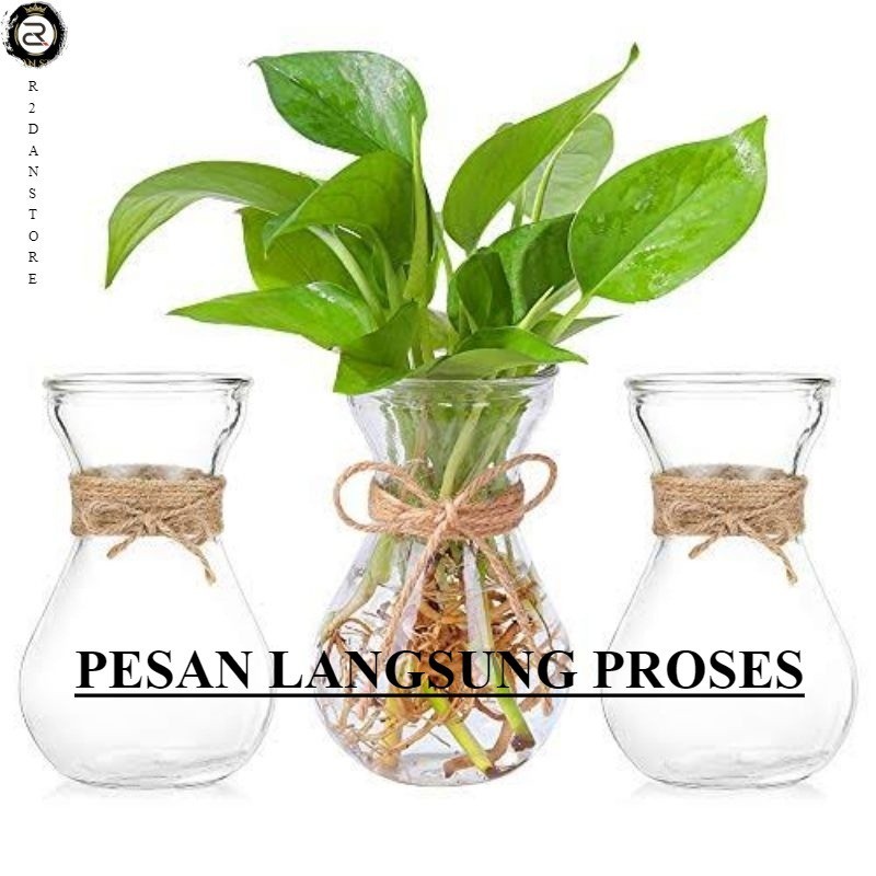 Jual VAS BUNGA KACA BENING BULAT AESTHETIC | TAMAN HIDUP | AQUARIUM ...
