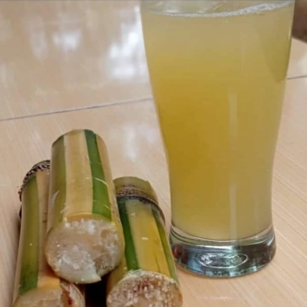 Jual tebu kuning 1 kg | Shopee Indonesia