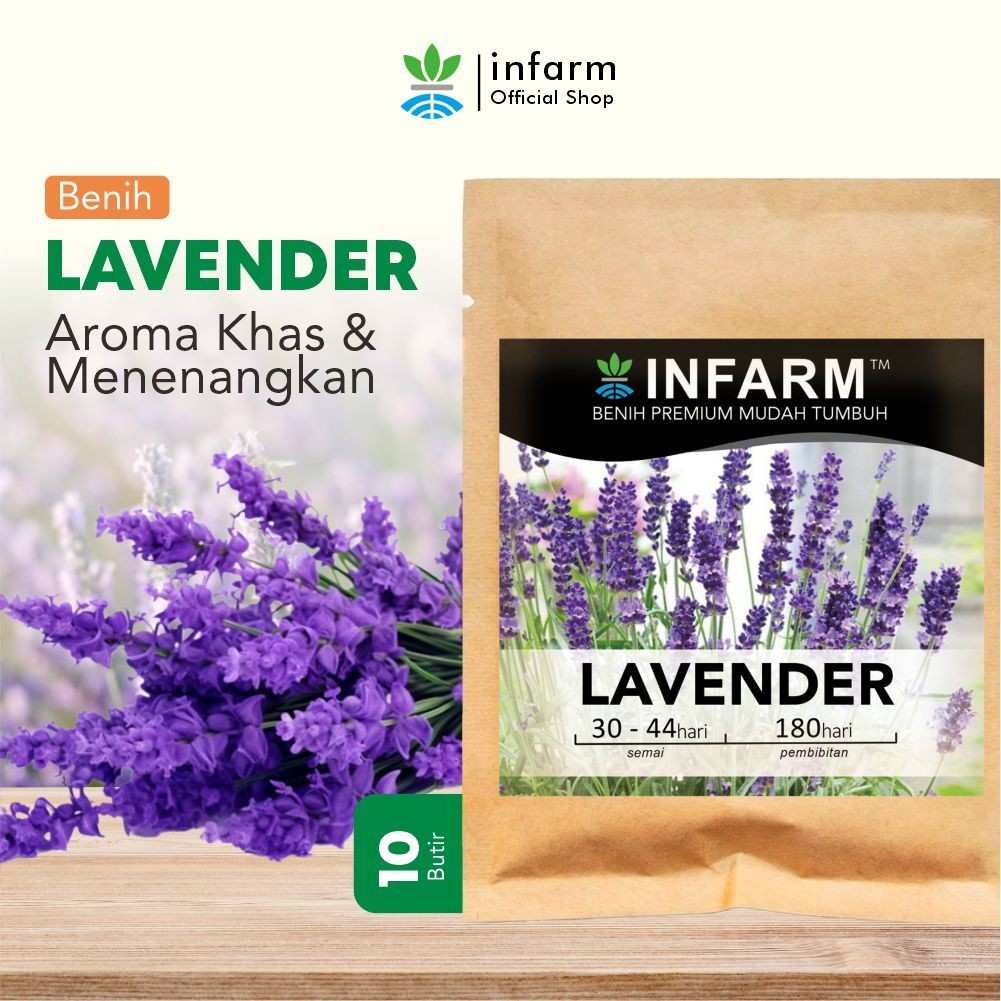 Jual INFARM - Benih Bibit Biji Super Bunga Lavender Munstead Isi 10 ...