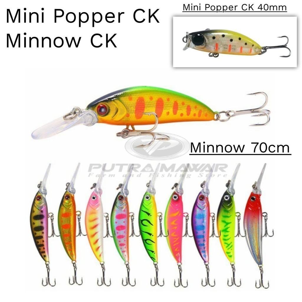 Jual Mini Popper 40mm Dan Minnow Ormer 70mm Type Singking Umpan Pancing Lure Kecil Berat Minow ...