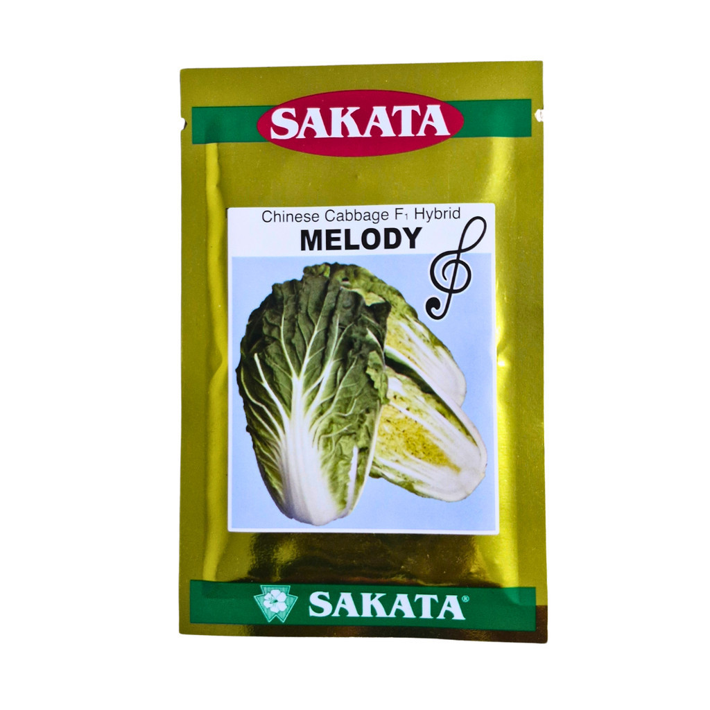Jual Benih Sawi Putih Melody F1 10gr Original Sakata Cocok Cuaca Panas ...
