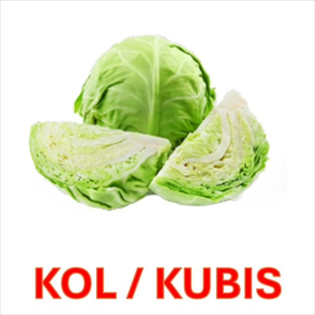 Jual SAYUR KOL / KUBIS / SAYUR SEGAR / HARGA PASAR | Shopee Indonesia