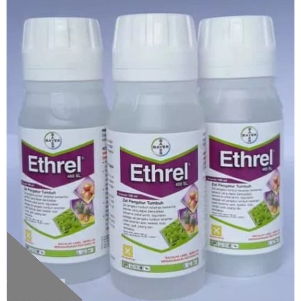 Jual Ethrel 480SL ZPT Etefon Percepat Pematangan Buah 100ml | Shopee ...