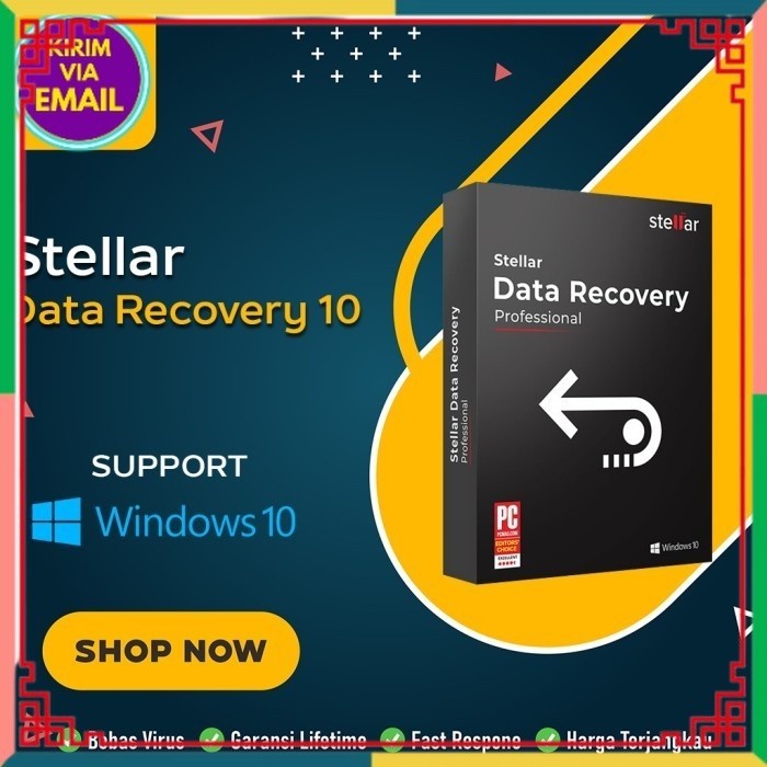 Jual Stellar Data Recovery Professional Full Version [Win] | Shopee ...