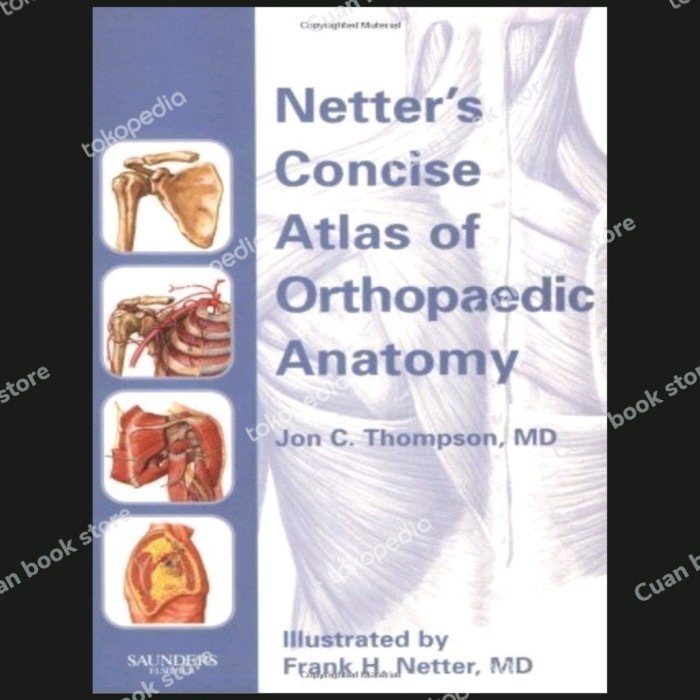 Jual BUKU Netter's Concise Atlas of Orthopaedic Anatomy | Shopee Indonesia