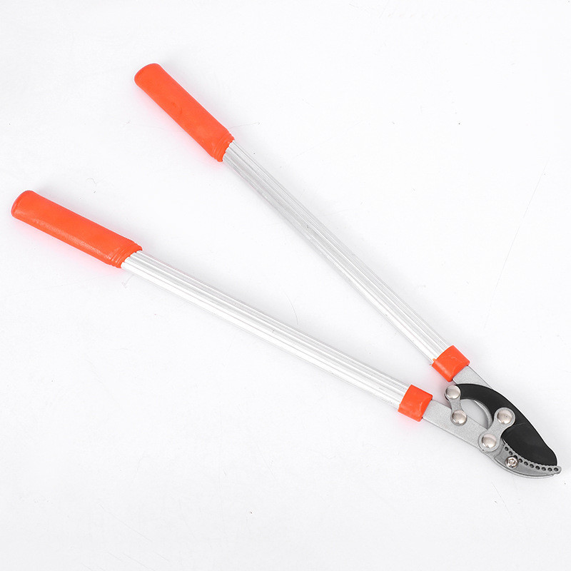 Jual Freight Portable Small Hercules Scissors Scimitar Garden Tools ...