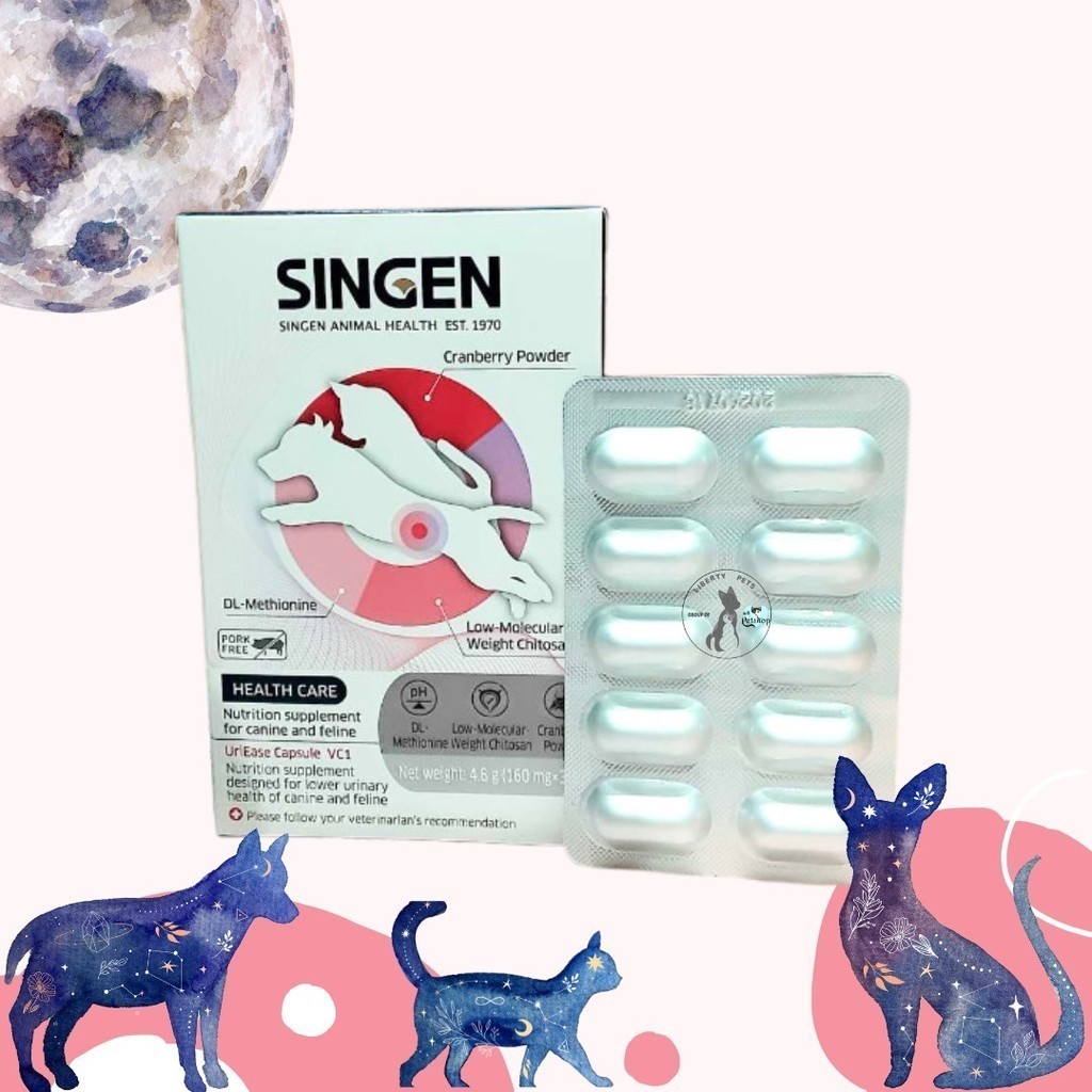 Jual Singen Uriease Urinary (Cystaid) Susah Kencing / Kencing Berdarah ...
