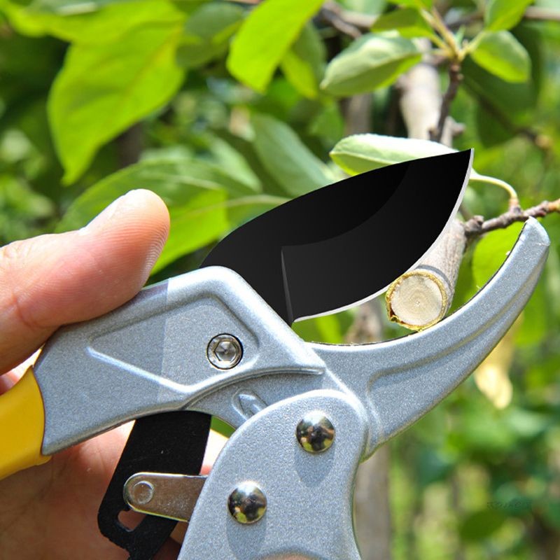 Jual COD Ratchet Pruning Shears Scissors - Gunting Taman, Dahan Ranting ...