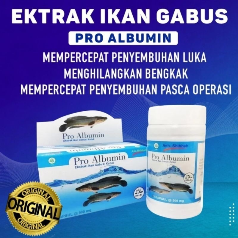 Jual Princeeshop - Pro Albumin Kapsul Ikan Gabus Obat Pra Operasi Cesar ...