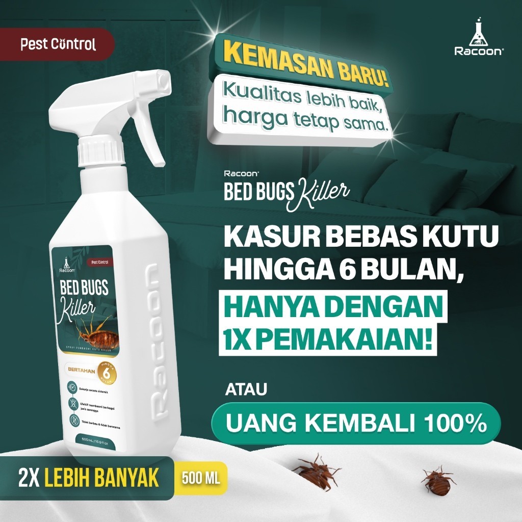 Jual DG56Y RACOON Bed Bugs Killer Obat Anti Kutu Kasur Tungau / Kutu ...