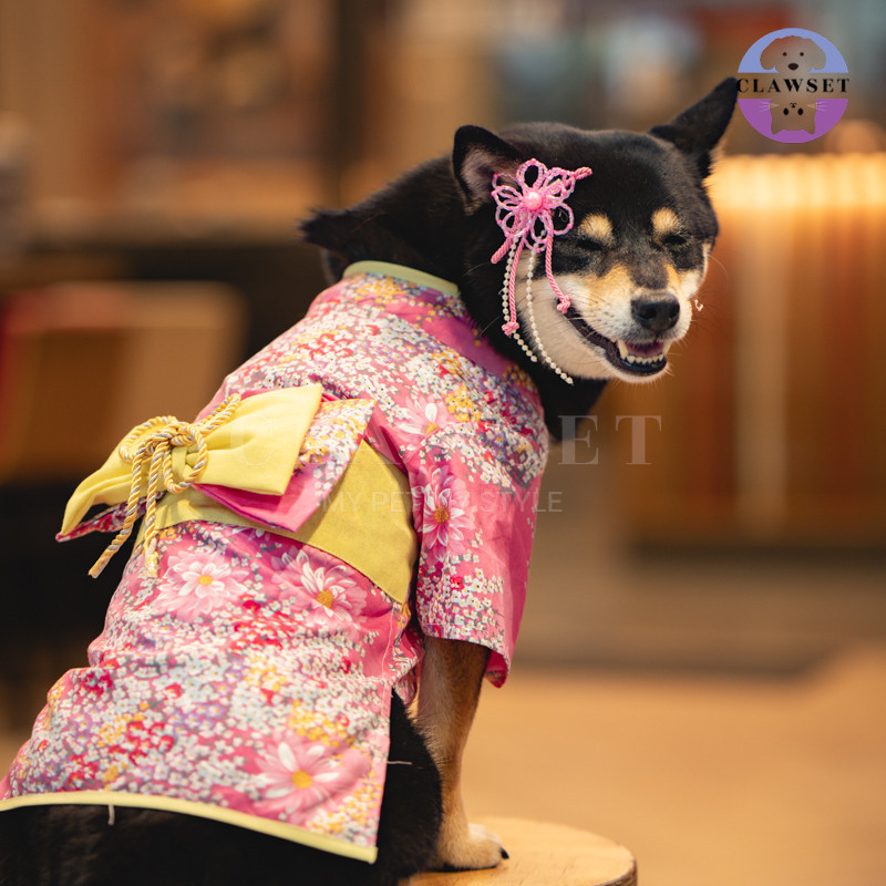 Jual Clawset - Pet Fashion - Kimono Inusama Collection - Sakura Pink ...