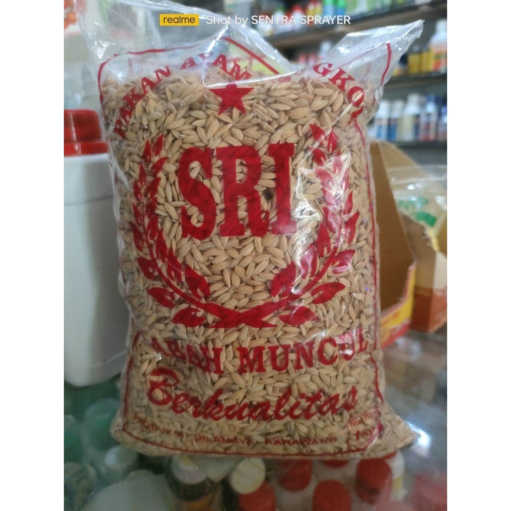 Jual Pakan Ayam Bangkok Gabah Bulat Gabah Muncul Kemasan 1 kg | Shopee ...
