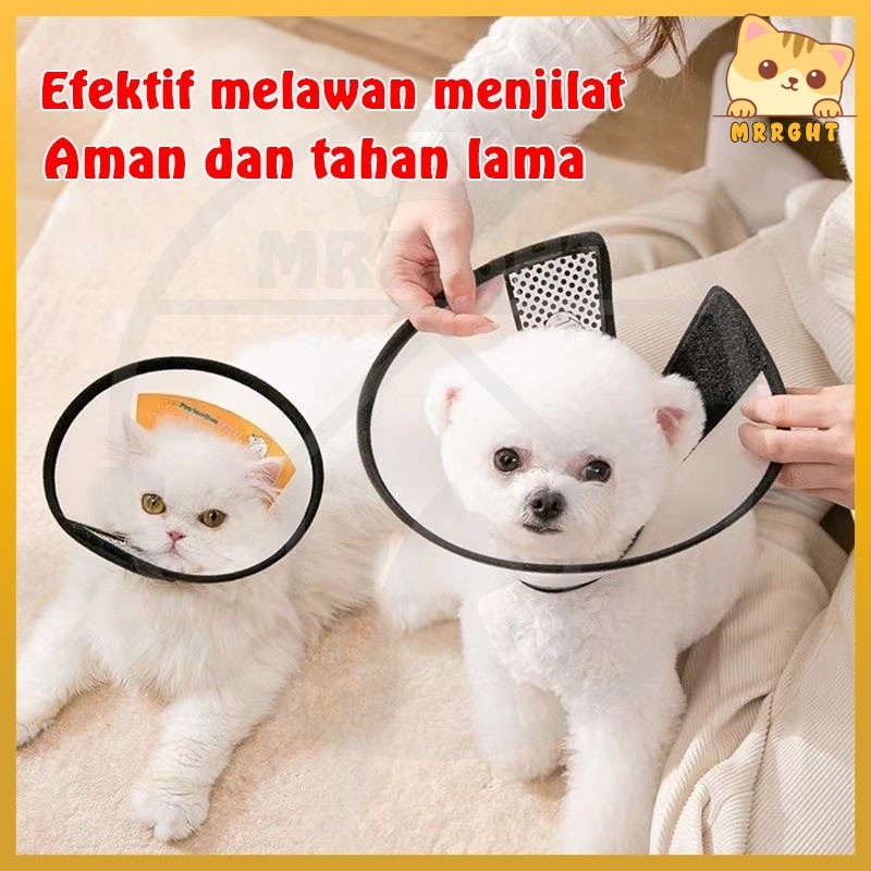 Jual Kerah kucing penutup pelindung corong kucing pelindung leher ...