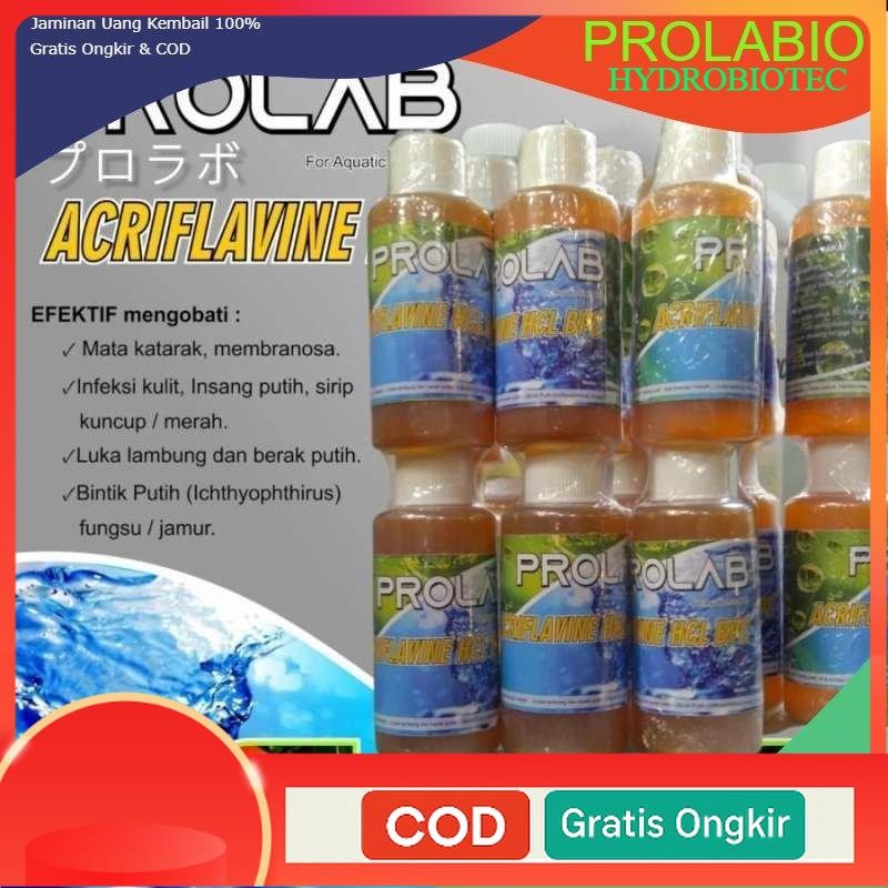 Jual prolabio acryflavine prolab/obat kuning/acriflavine/acriflavin ...