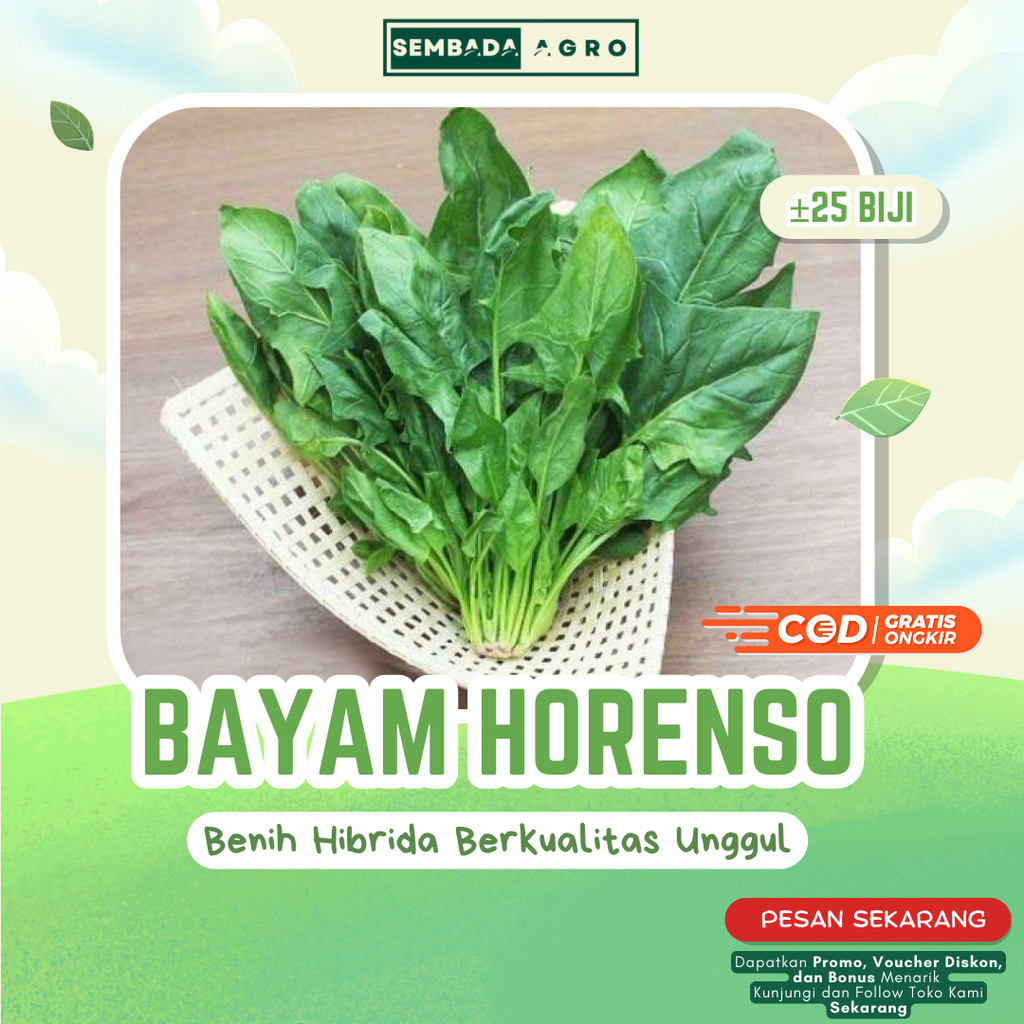 Jual Benih Bibit Bayam Jepang Horenso Unggul 25 Biji - Sembada Agro ...