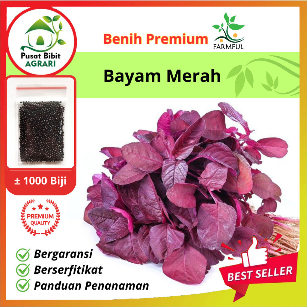 Jual FARMFUL Benih Sayuran Bayam Merah Unggul | Shopee Indonesia