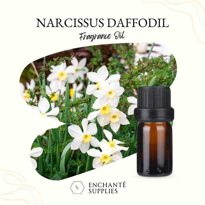 Jual Narcissus Daffodil Fragrance Oil High Quality For Perfumery ...