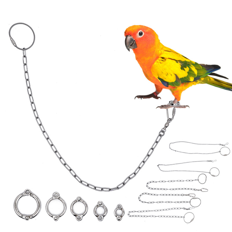 Jual Parrot Leg Ring Stainless Steel Bird Ankle Foot Chain Ring Anti ...