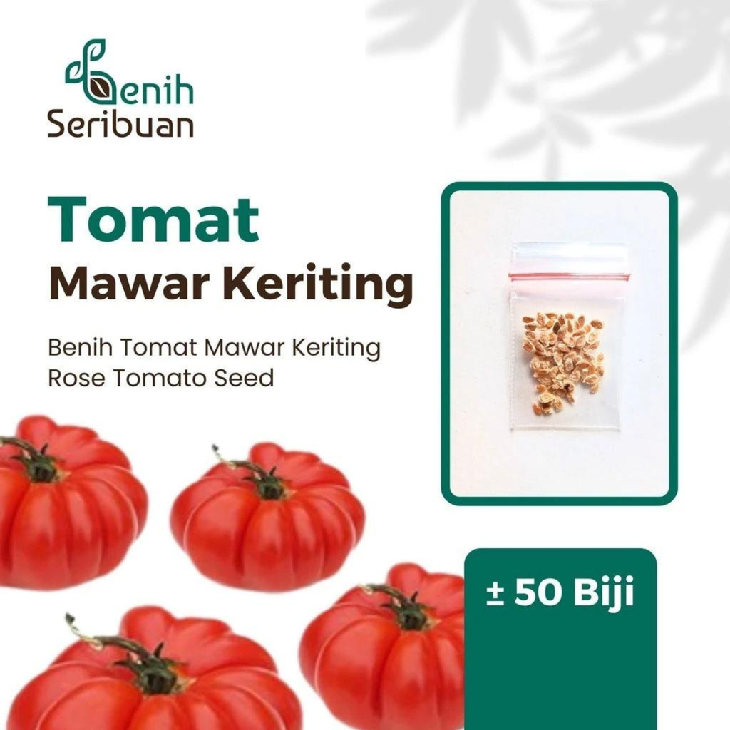 Jual Benih Seribuan - 50 Benih Sayuran Buah Tomat Mawar Keriting Unggul ...