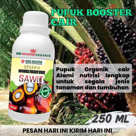 Jual Pupuk Booster Sawit Organik Untuk Pertumbuhan dan Pembuahan 250 ml pupuk cair organik ...