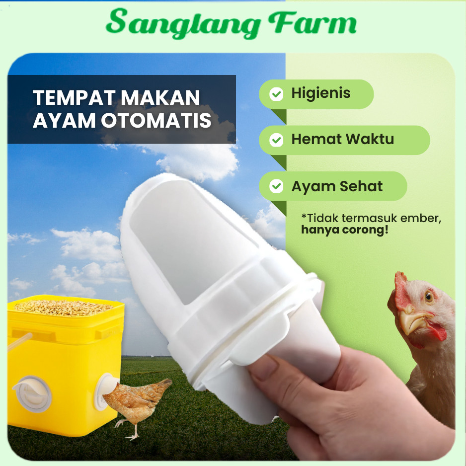 Jual Tempat Makan Ayam Tanpa Tumpah Tahan Hujan Chicken Feeder Ports ...