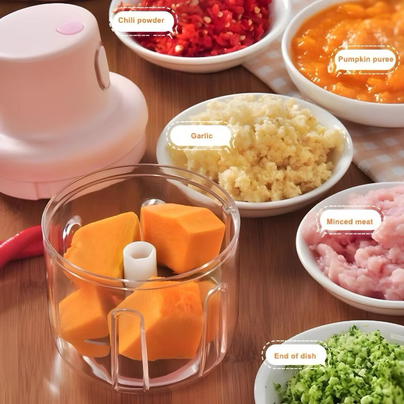 Jual Blender mini / penghalus bumbu / chopper mini SQRS WH-010 | Shopee ...
