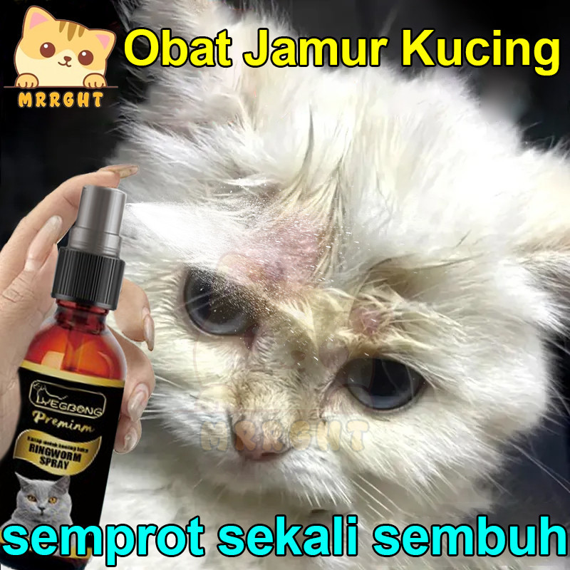 Jual Obat Jamur Kucing Disinfectant Antiseptic Pet Care Spray Scabies ...