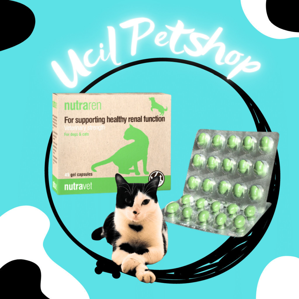 Jual Nutraren Obat Suplemen Ginjal Renal Kidney Kucing Anjing (1 Box ...