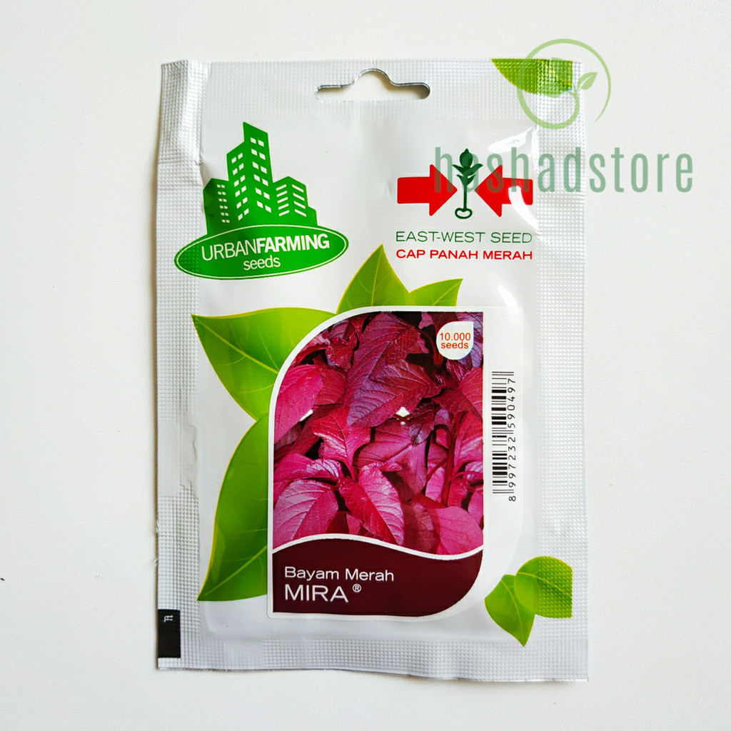 Jual Benih Bayam Merah MIRA Isi 10000 Butir Cap Panah Merah | Shopee ...