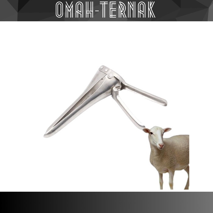 Jual Dilator Kambing - Alat Inseminasi Buatan Spekulum untuk Domba dan Hewan Ternak | Shopee ...