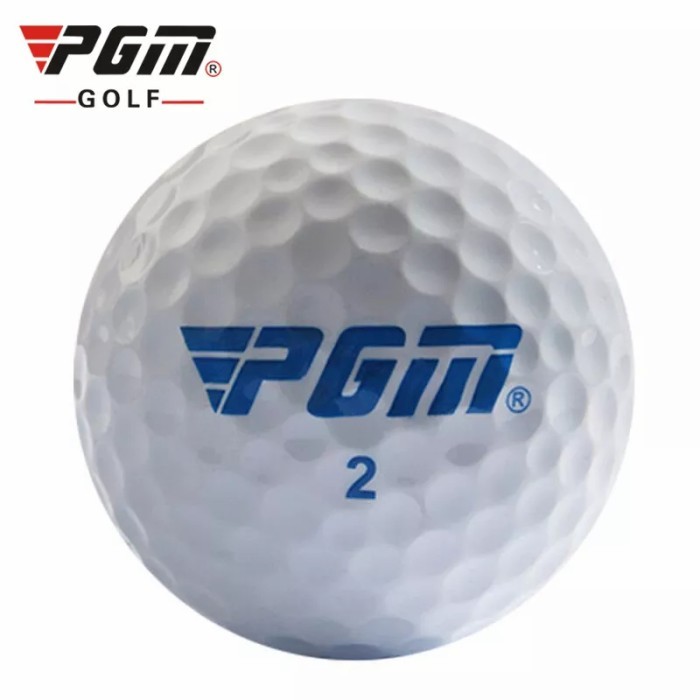 Jual Bola Golf PGM 2 Layer Golf Ball Original | Shopee Indonesia