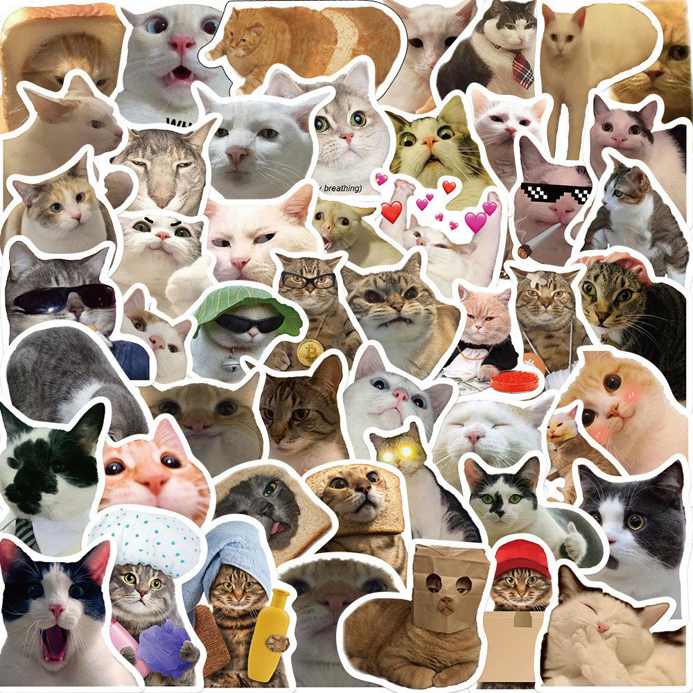 Jual 10/30/50pcs Funny Cats Meme Graffiti Stickers DIY Scrapbook ...