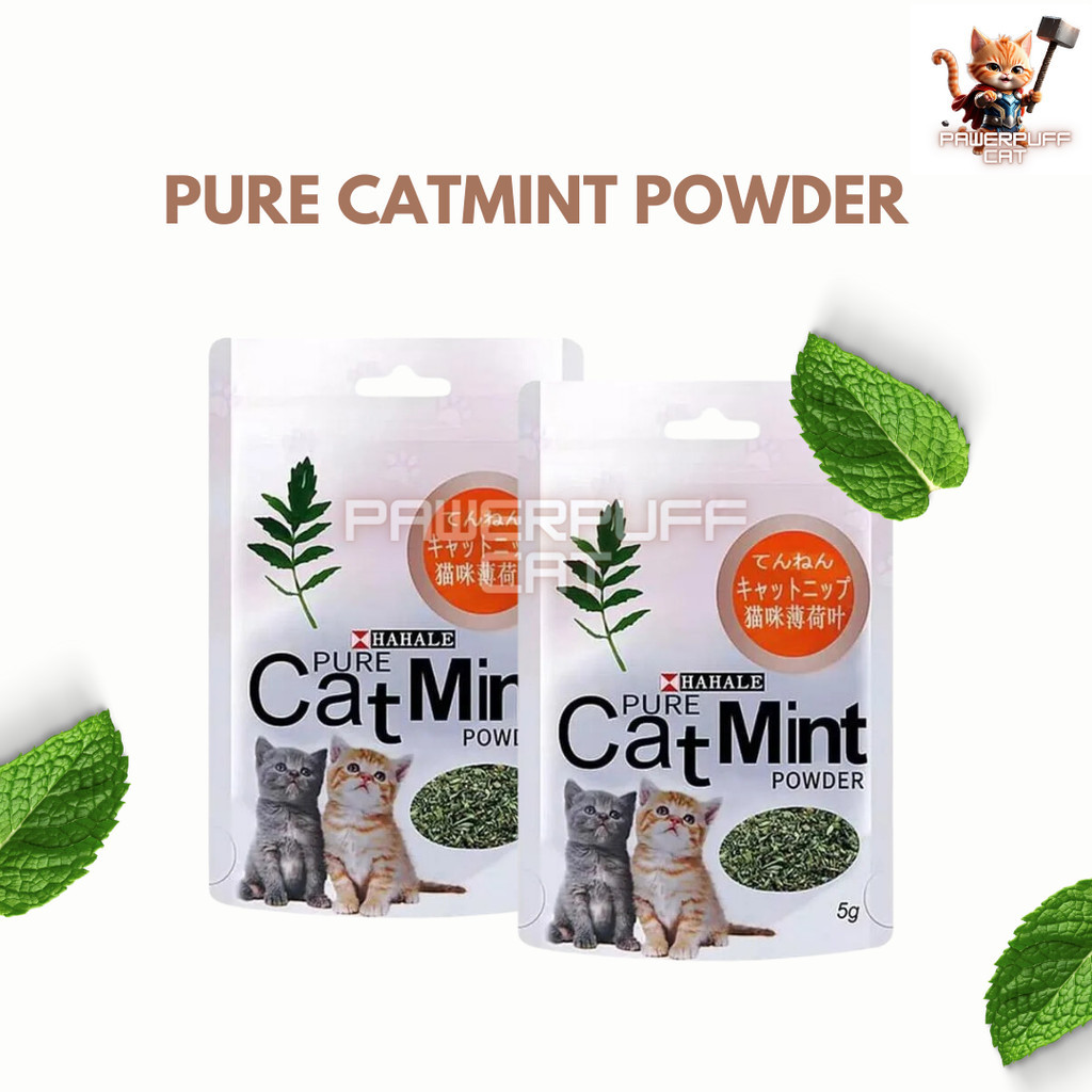 Jual PPC Catnip Pure Catmint Powder 5gr Bubuk Relaksasi Kucing Natural ...